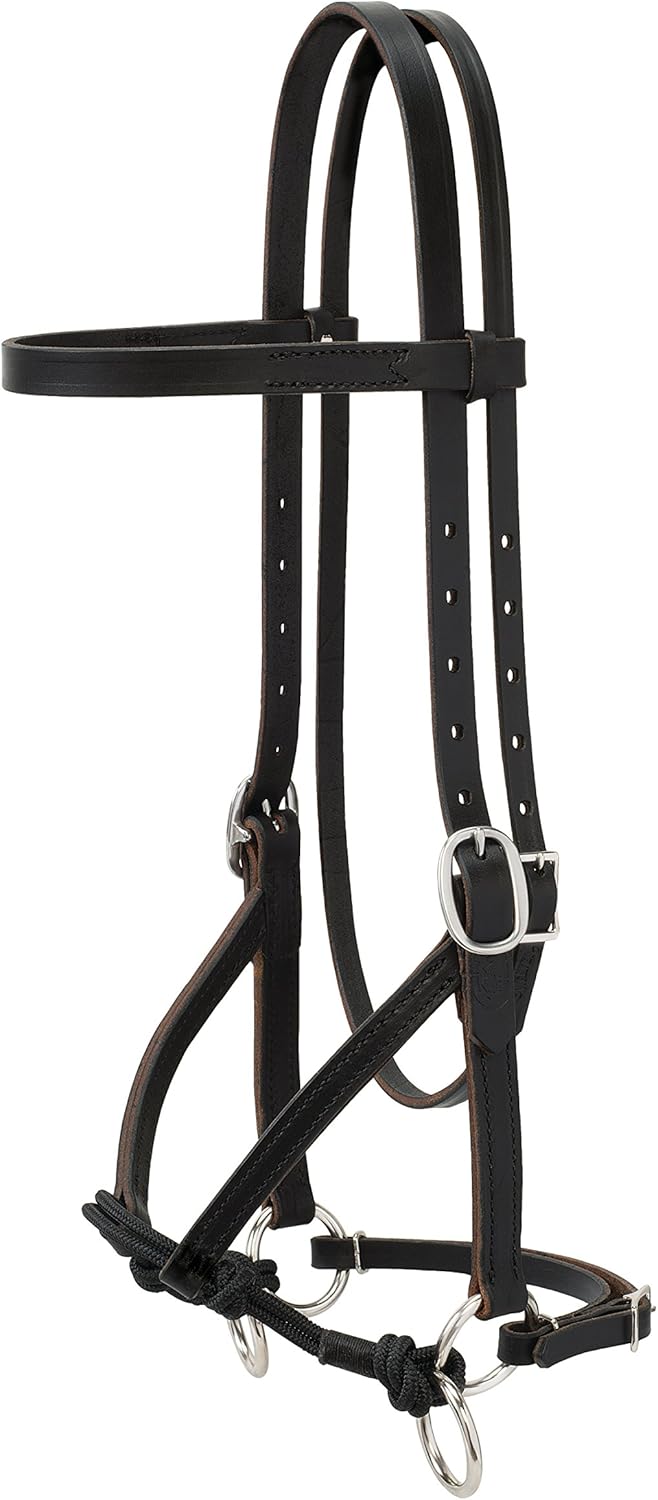 Bitless Bridle - Raxin Horse